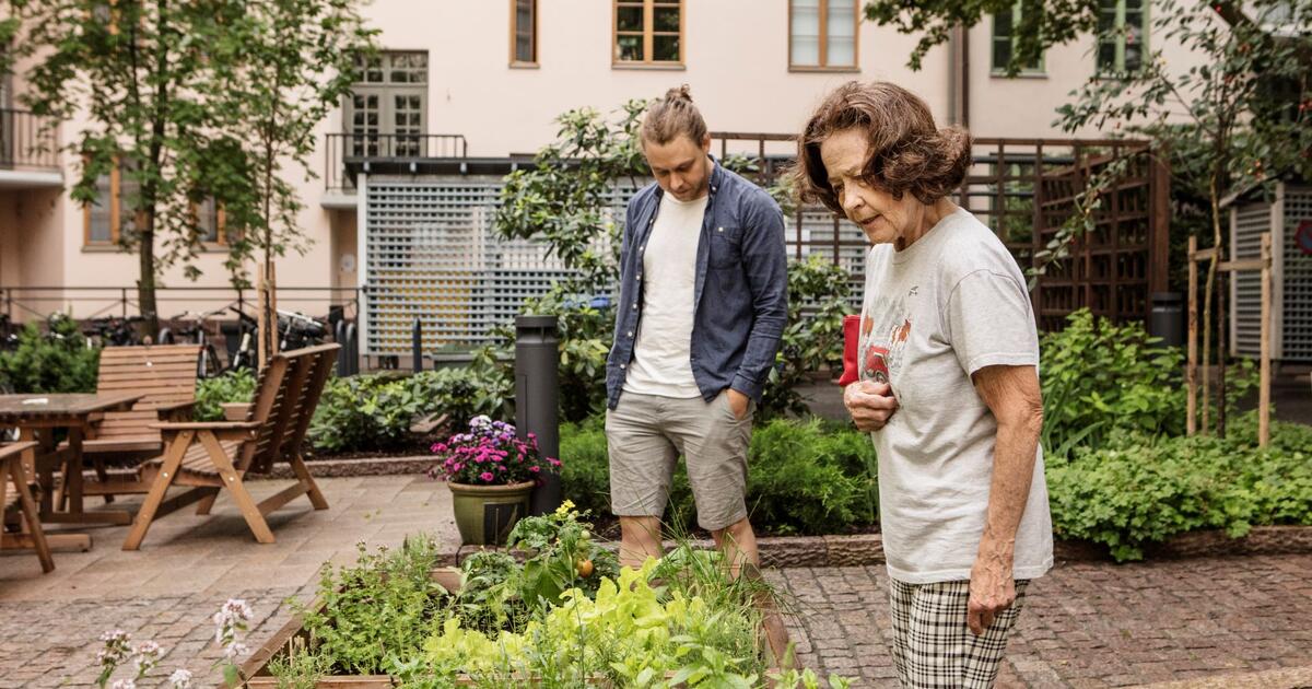 New guide to help housing cooperatives create shared block courtyards ...