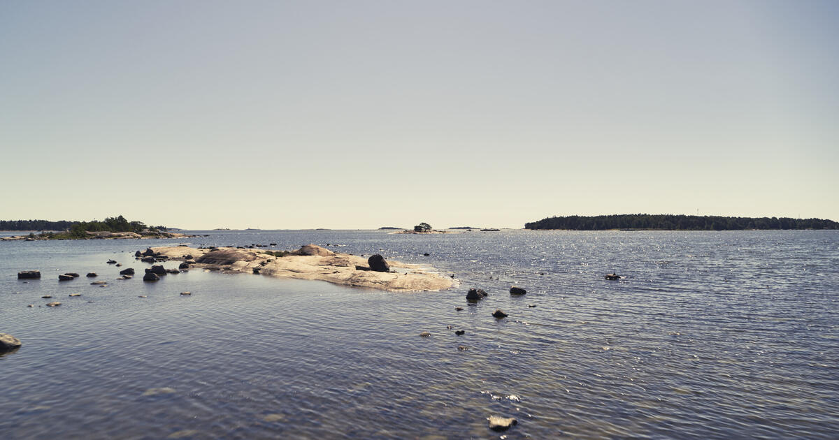 Pormestari Vartiainen Tallinnassa Eurocities-verkoston johtokunnan ...