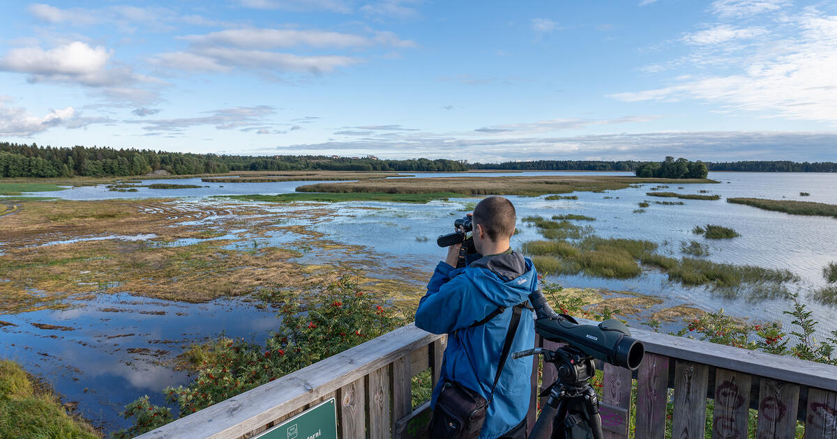 Viikki nature area | City of Helsinki
