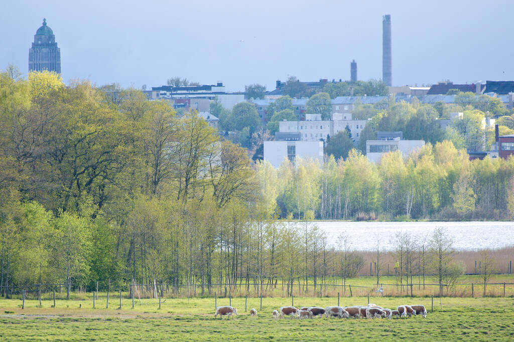Pornaistenniemi and Lammassaari | City of Helsinki