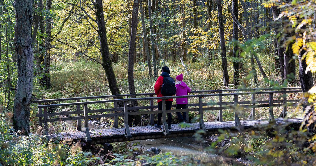 Maunula outdoor recreation area | City of Helsinki