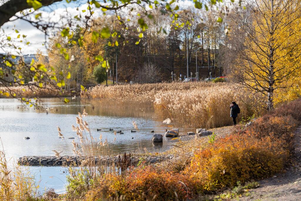 Ympäristön ja luonnon suojelu | Helsingin kaupunki